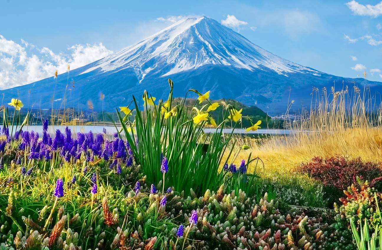Mount Fuji, Arakurayama Park, Oshino Hakkai, and Lake Kawaguchiko Bus ...